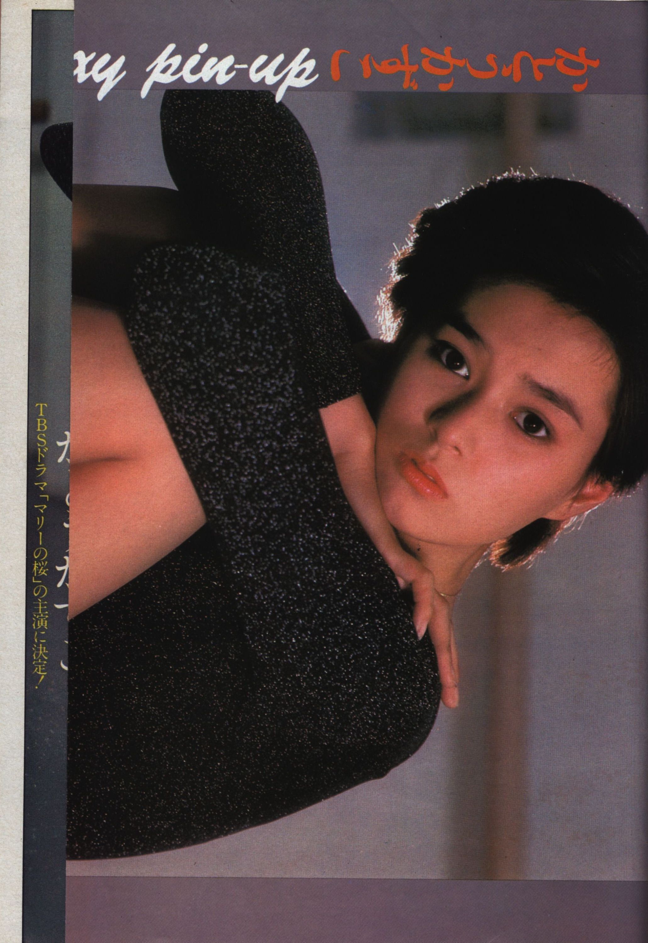 集英社 週刊プレイボーイ 1980年2月12日号 | まんだらけ Mandarake
