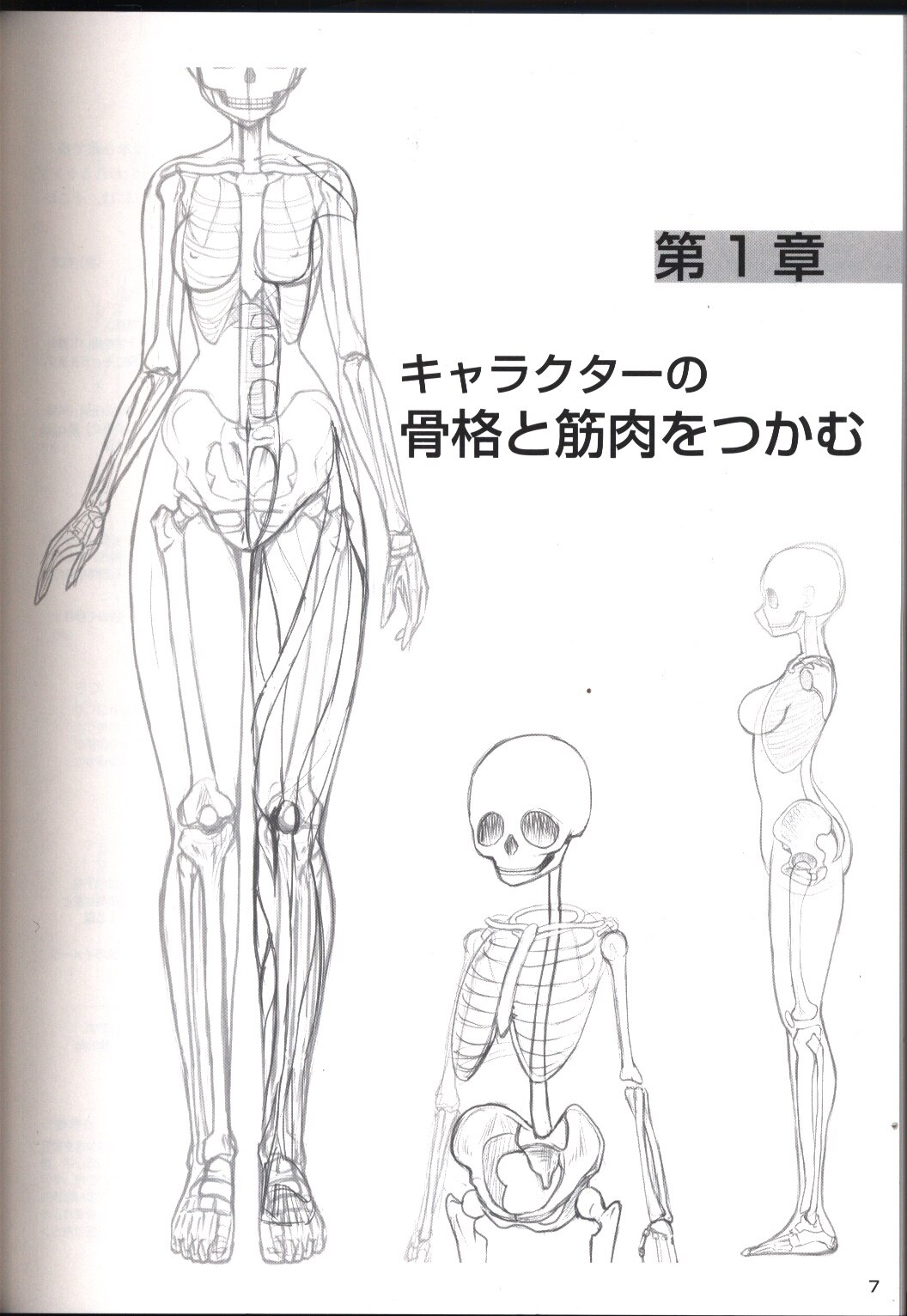 ホビージャパン 女の子のカラダの描き方 キャラ骨と肉感をつかんでセクシーな女の子を描く まんだらけ Mandarake