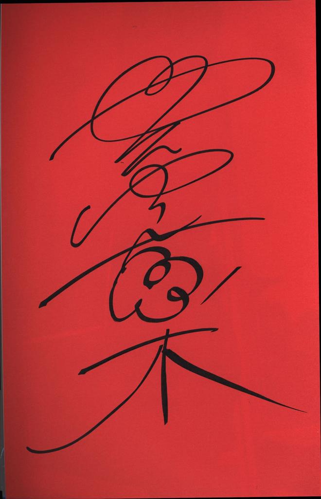 Signed Yurina Yanagi Yurina Yanagi Photograph Collection Secret | MANDARAKE 在线商店