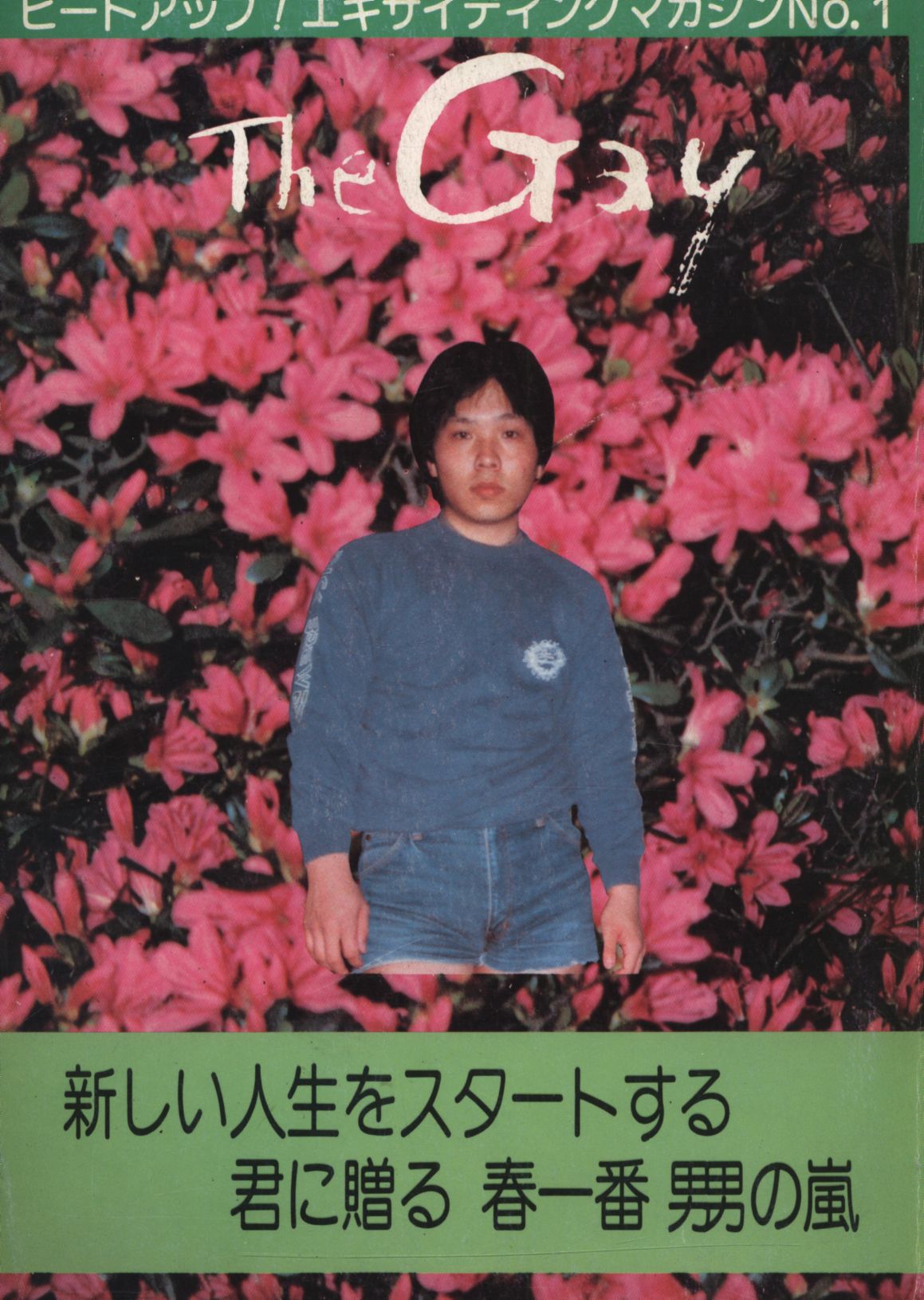 The Gay 36 | まんだらけ Mandarake