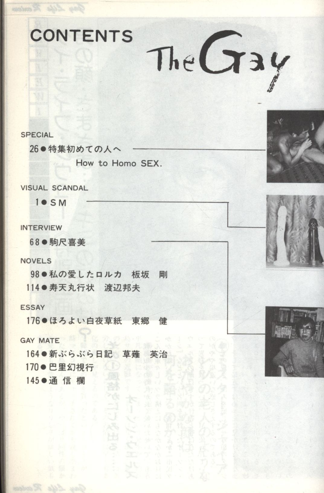 The Gay 36 | まんだらけ Mandarake
