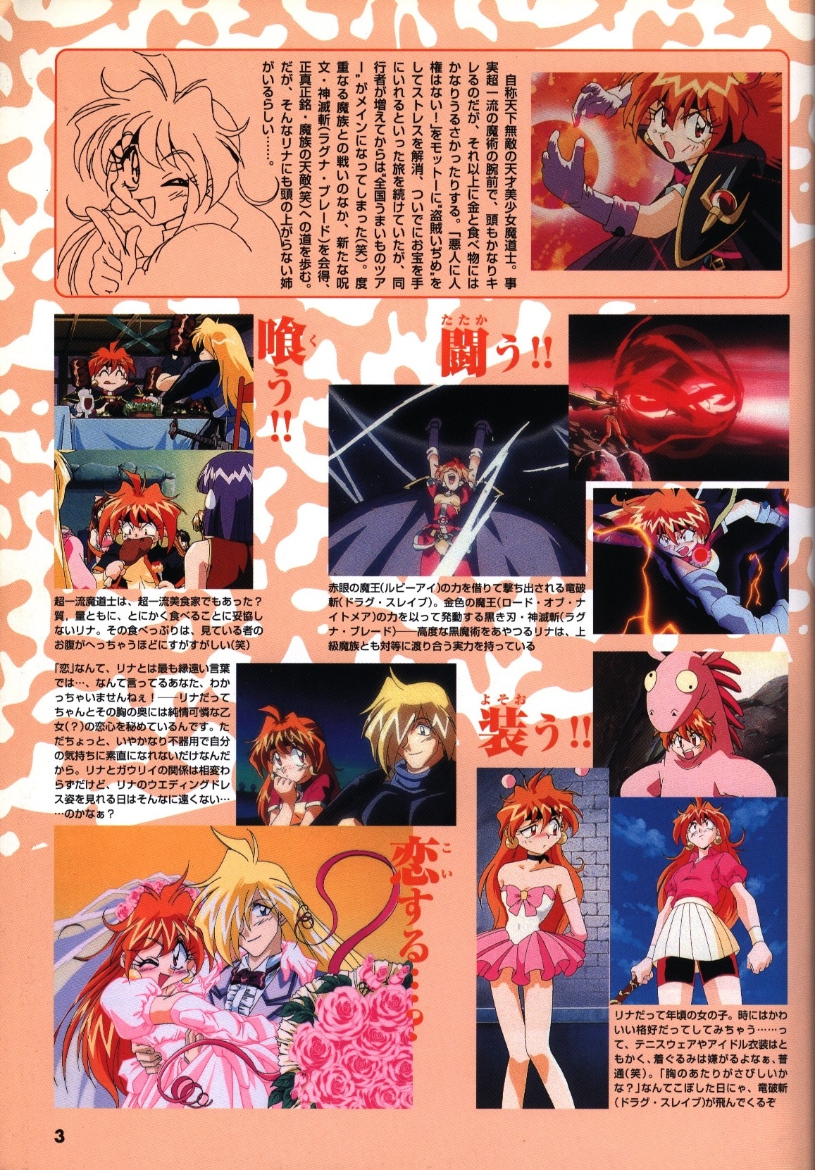 富士見書房 ドラゴンマガジンコレクション スレイヤーズTRY スペシャルコレクション PART1 | まんだらけ Mandarake