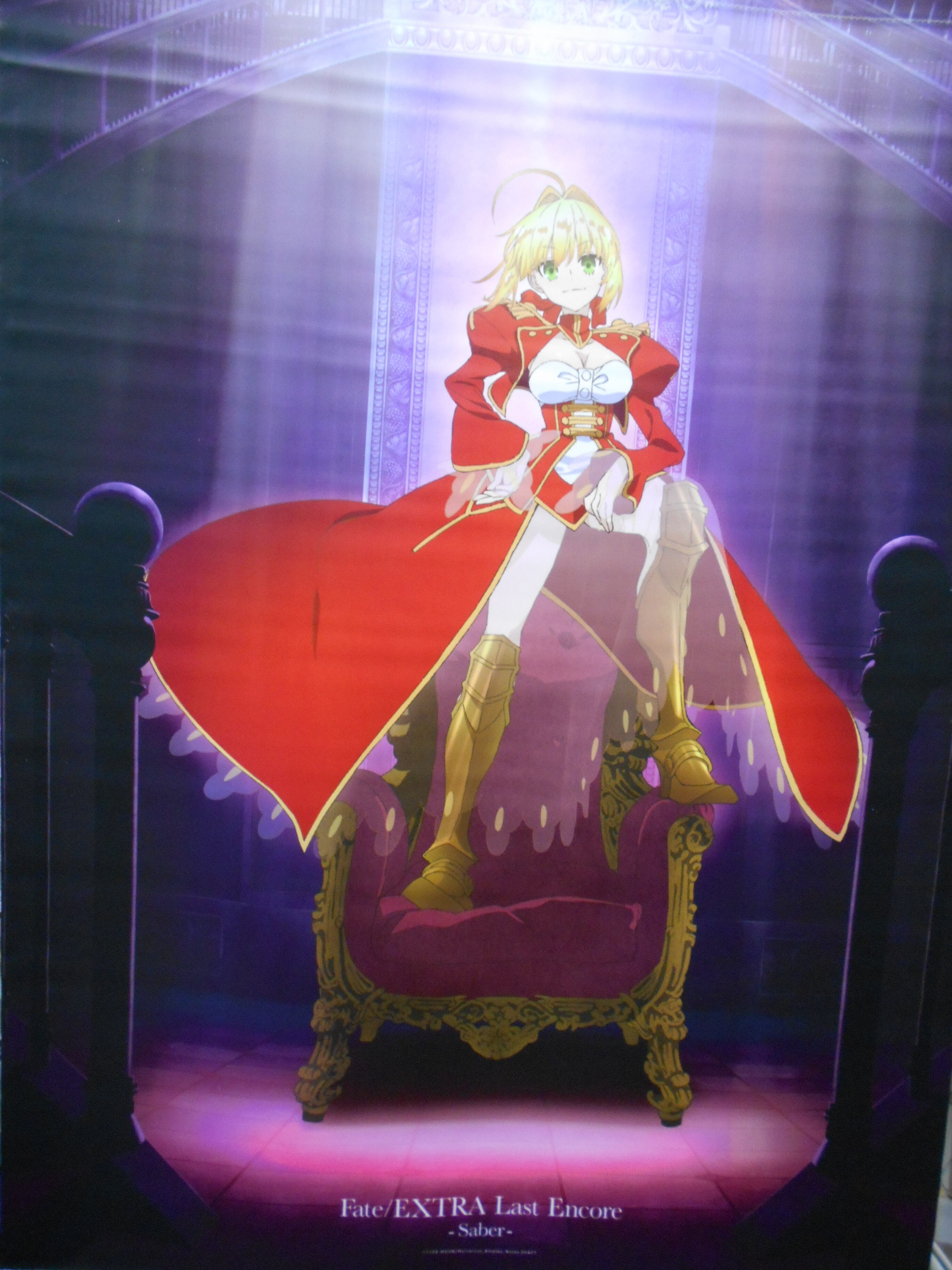 シルクマスター タペストリー Fate/EXTRA Last Encore セイバー A1タペストリー | まんだらけ Mandarake