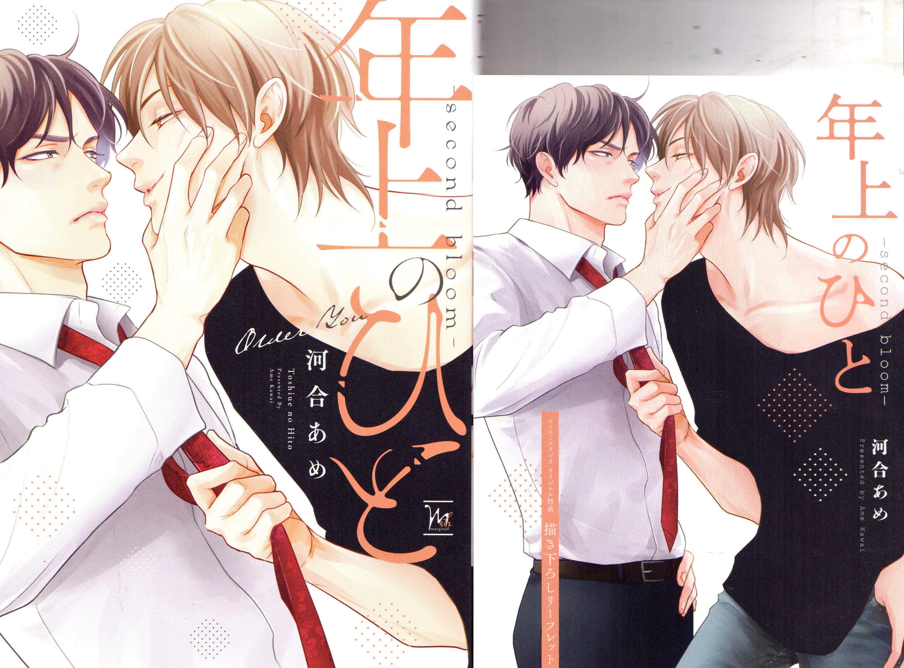 双葉社 マージナル&hコミックス 河合あめ 年上のひと~second bloom~ コミコミ限定4Pリーフレット付 | まんだらけ Mandarake