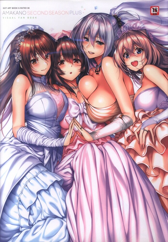 ジーオーティー あざらしそふと アマカノ Second Season+(プラス) ビジュアルファンブック | まんだらけ Mandarake