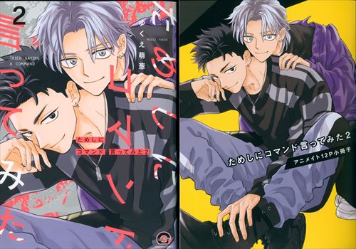 海王社 ガッシュコミックス ゆくえ萌葱 ためしにコマンド言ってみた アニメイト限定12P小冊子付 2 | まんだらけ Mandarake