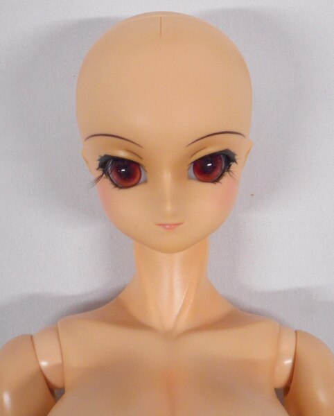 やまと vmf50 MIU 褐色 | まんだらけ Mandarake