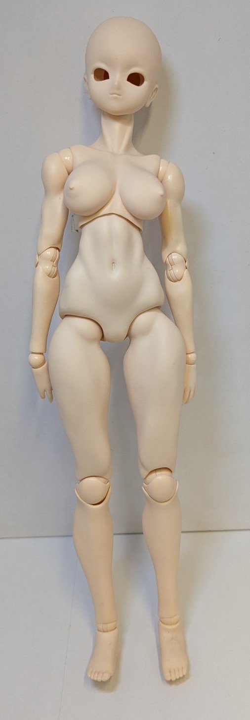 やまと vmf50 Type-B | まんだらけ Mandarake