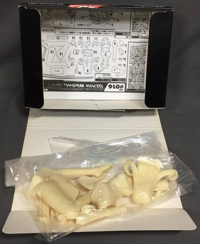 WSC/海洋堂 1/7スケールレジンキャストキット 原型 冬音 OSアイドル Winちゃん WSC016 | まんだらけ Mandarake