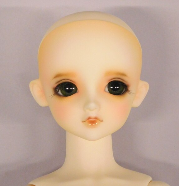 Lieselotte Volks