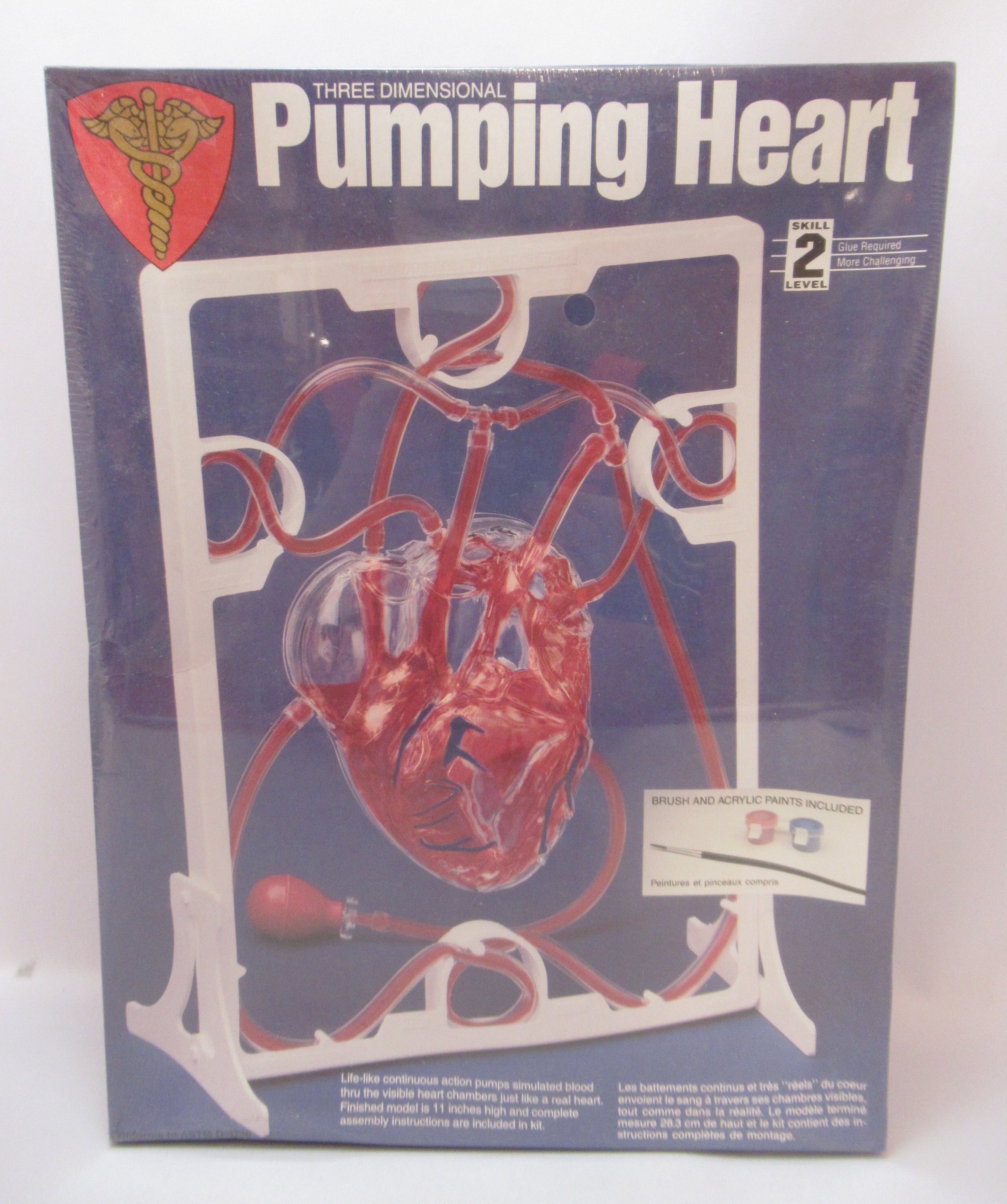 LINDBERG NATURAL SCIENCE SERIES THE VISIBLE PUMPING HEART | まんだらけ Mandarake
