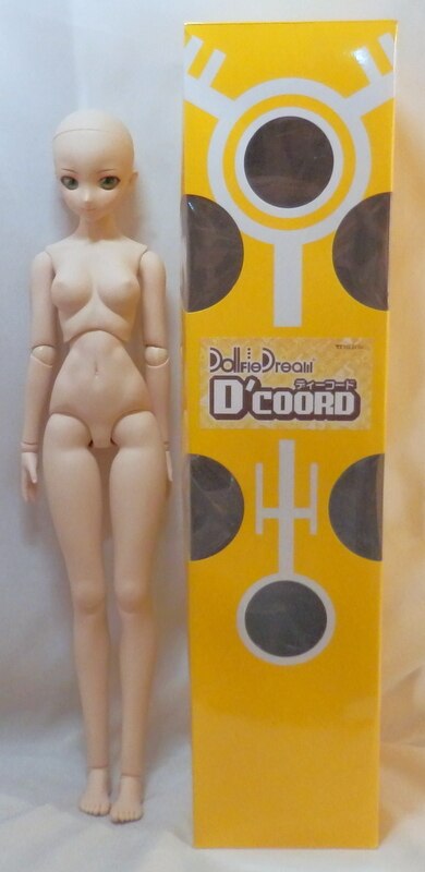 ボークス ドルフィードリーム DD D'COORD DDH-09 ノーマル肌 | まんだらけ Mandarake