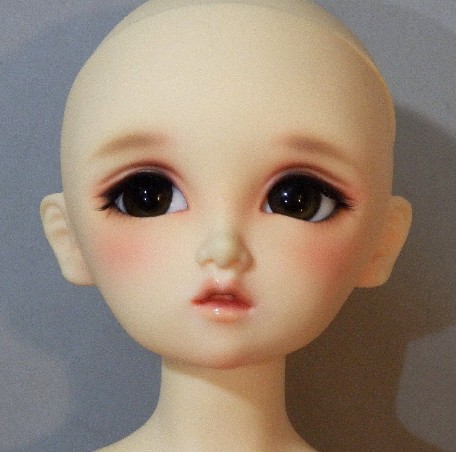 ボークス Dear SD めぐ | まんだらけ Mandarake