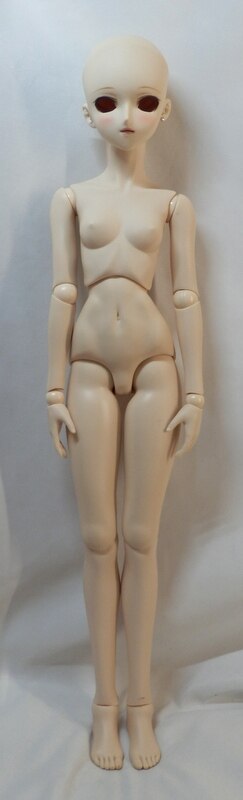 ボークス DDS？+カスタムヘッド？ 本体のみ | まんだらけ Mandarake