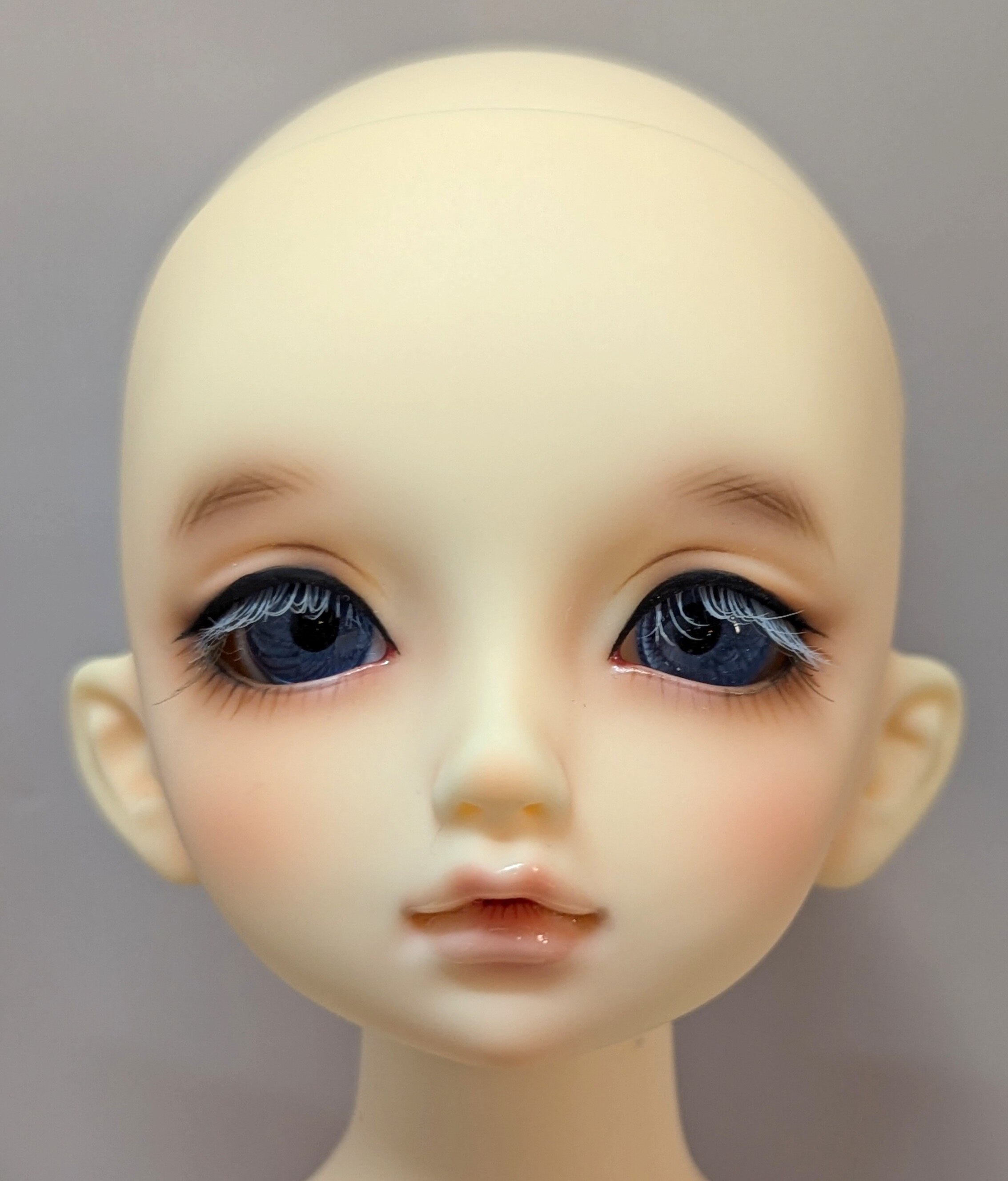 ボークス SDM女の子 スタンダードモデル のあ | まんだらけ Mandarake