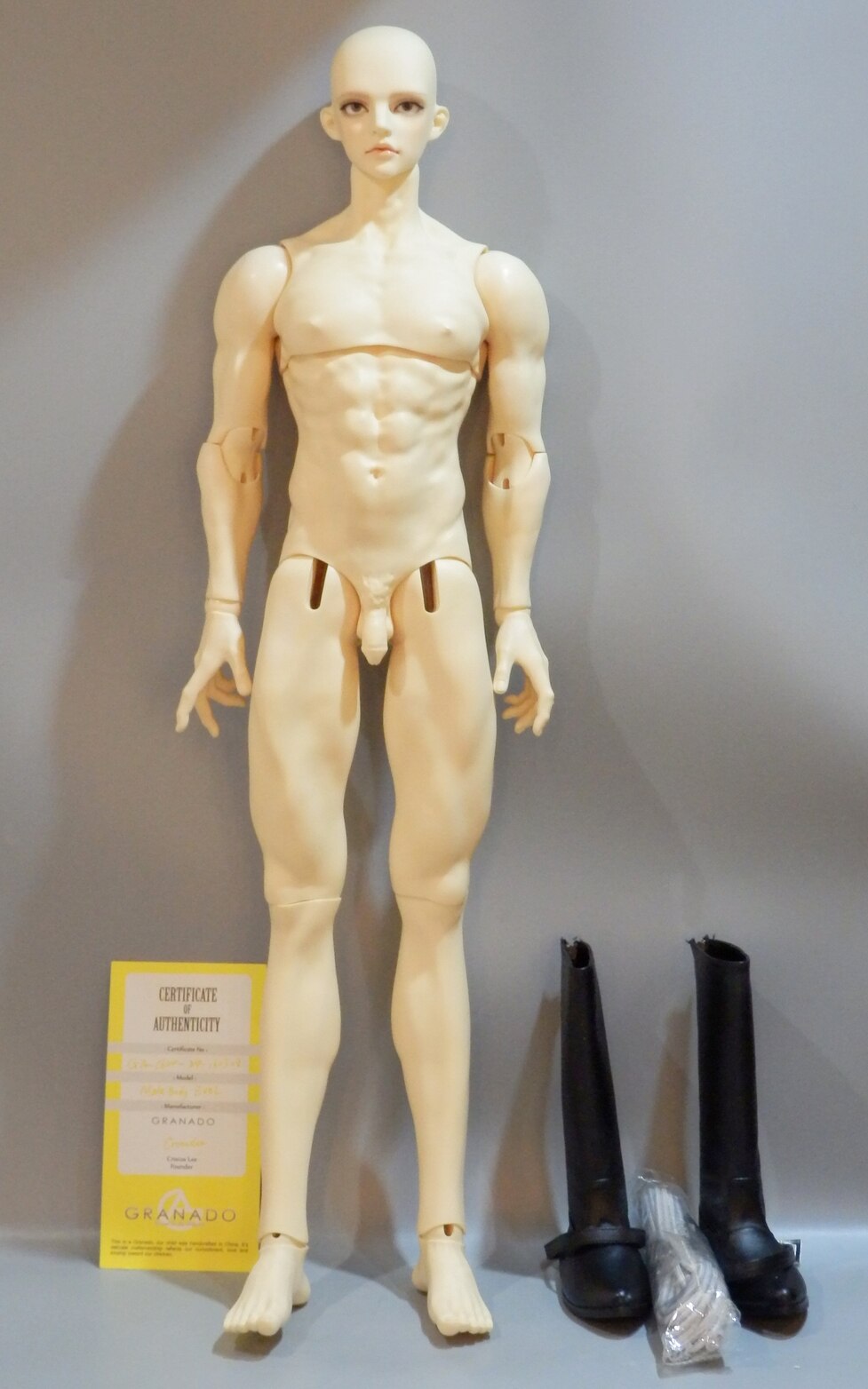 GRANADO 1/3 Male body EVOL | まんだらけ Mandarake