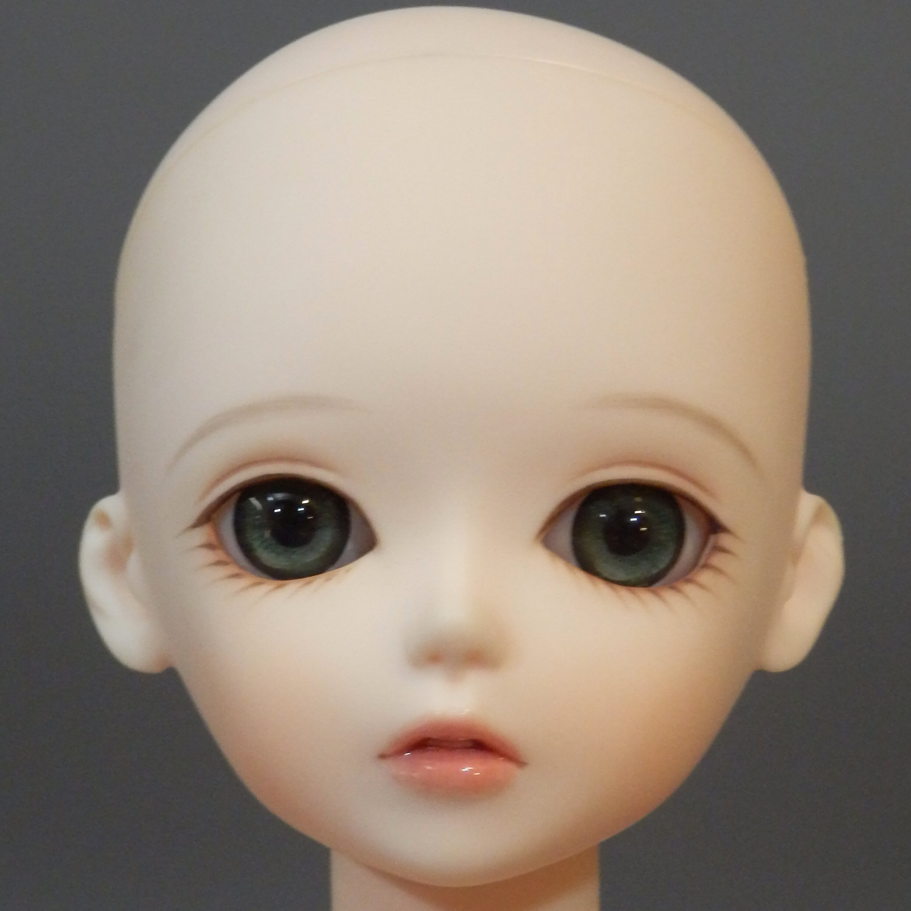 Blue Fairy Tiny Fairy May classic girl body/normal skin | まんだらけ Mandarake