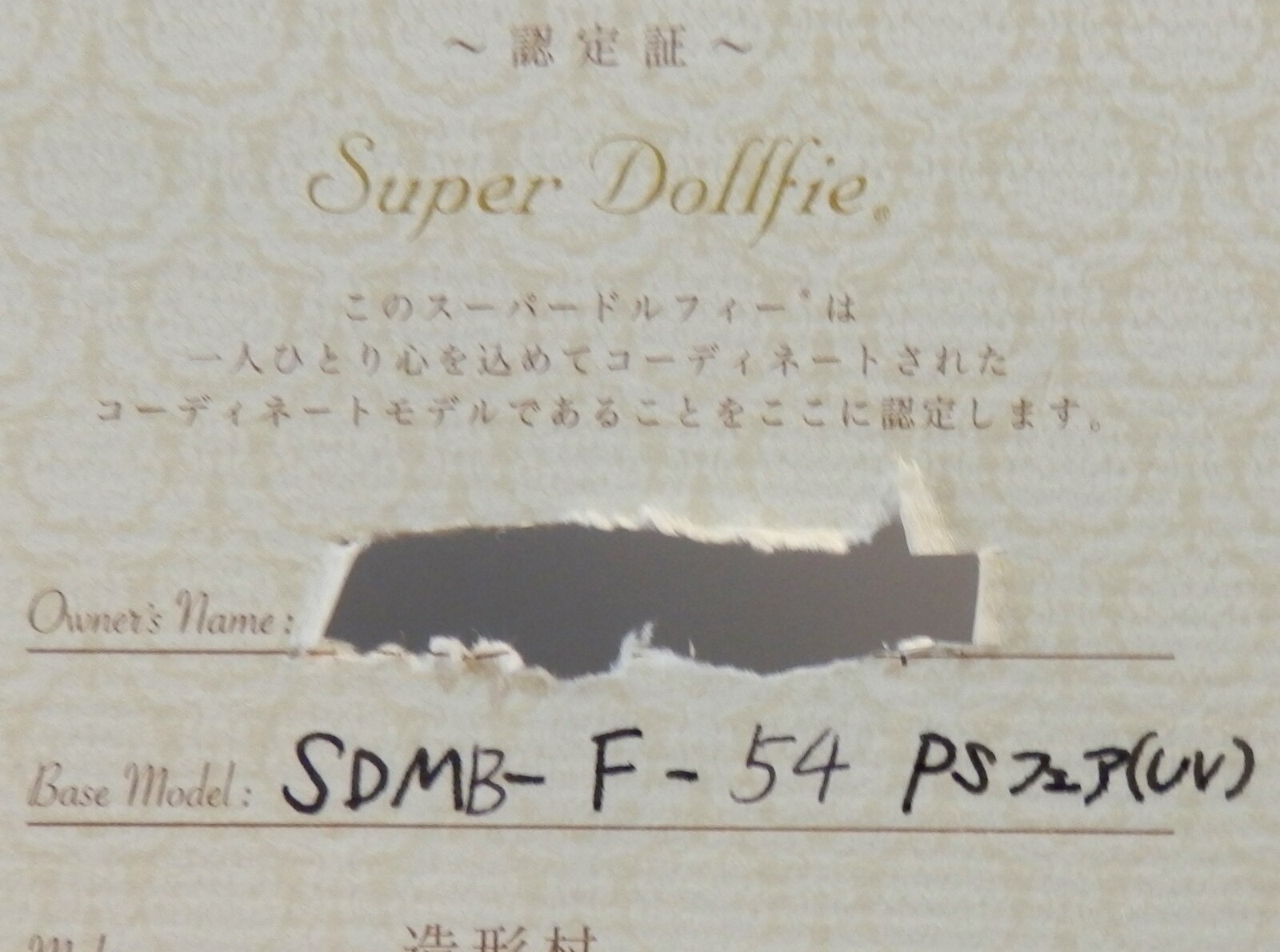 ボークス SDM男の子 コーディネートモデル F-54 ノーマル肌 | まんだらけ Mandarake