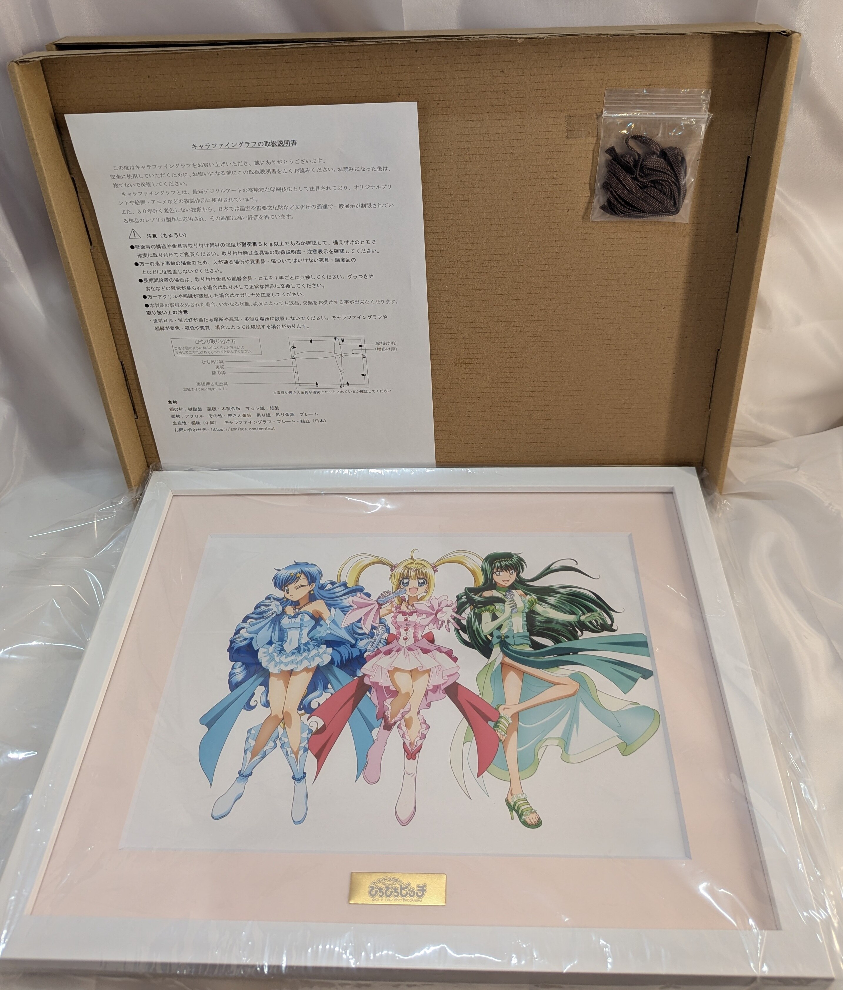 Arma Bianca Original Illustration Meeting 20th Anniversary ver. Mermaid Melody - Pichi Pichi ...