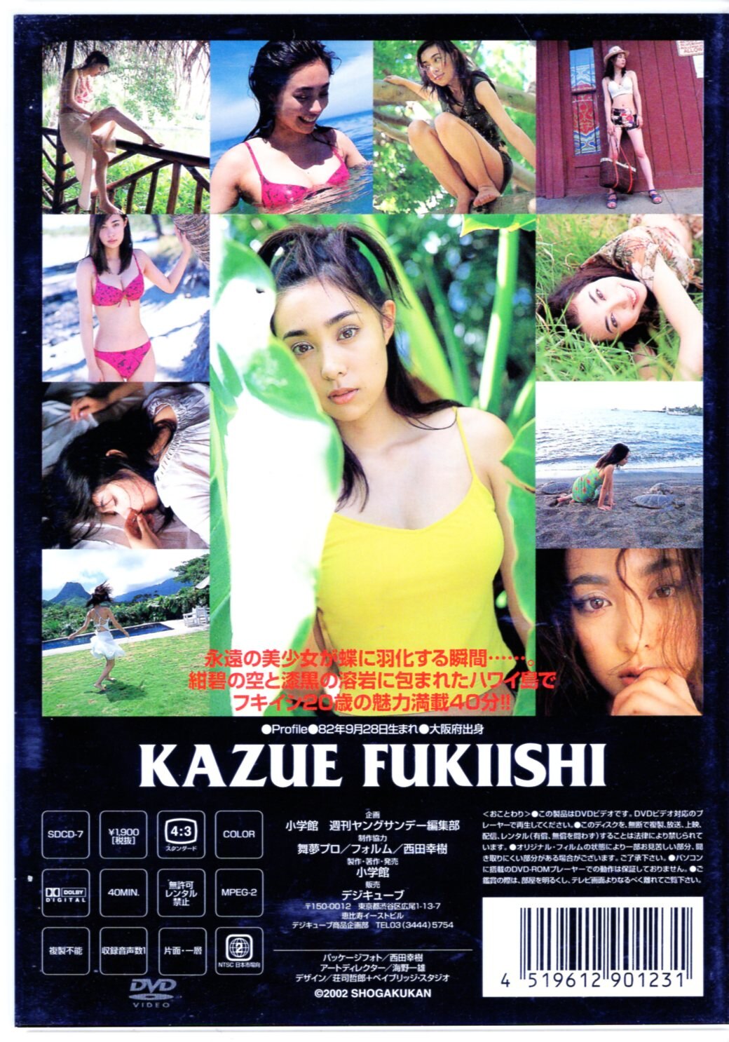 小学館 DVD 吹石一恵 FUKIISHI フキイシ | まんだらけ Mandarake