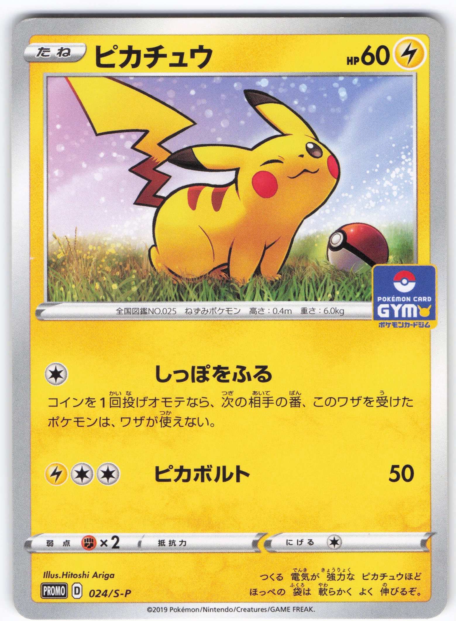 Pokemon Sプロモ 024/S-P ピカチュウ | まんだらけ Mandarake