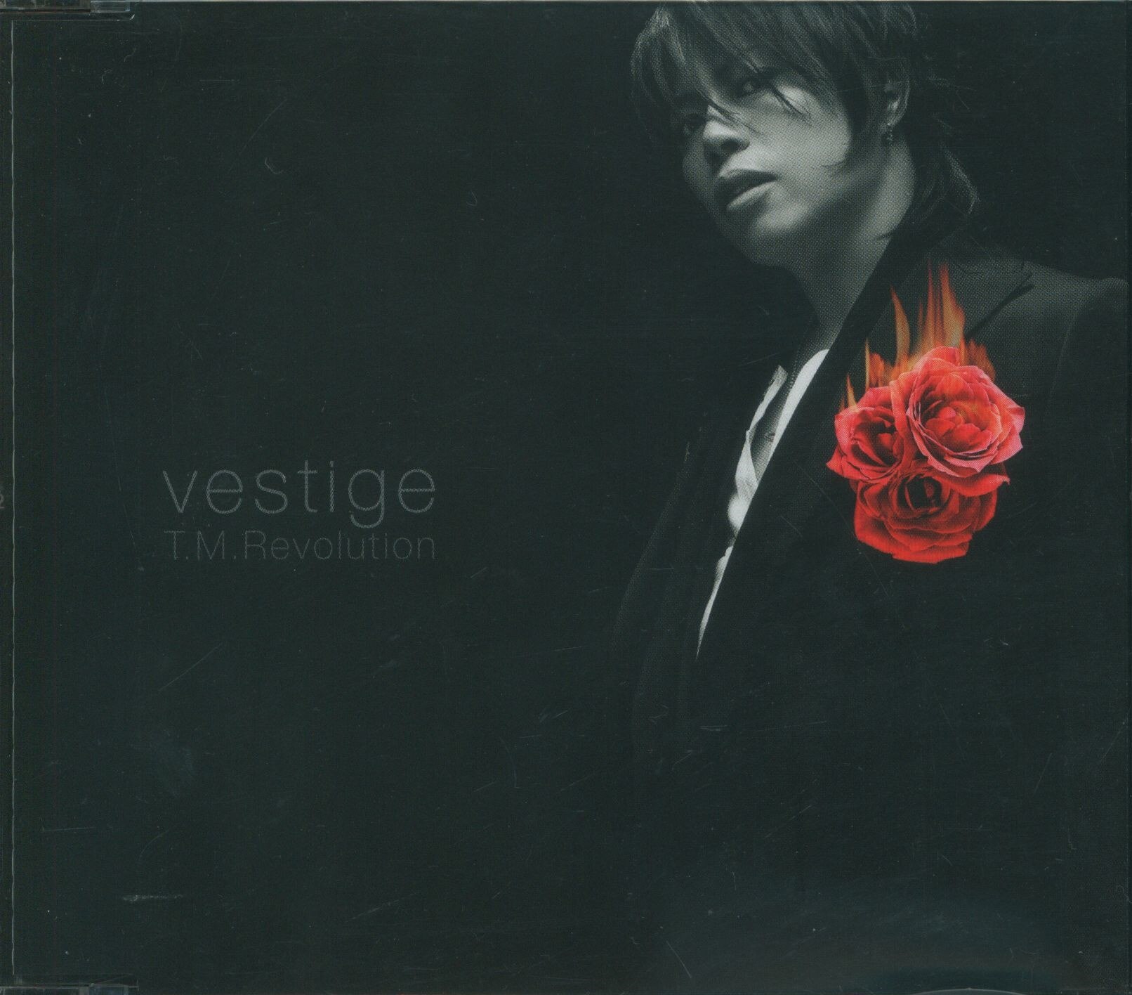 アニメCD T.MReovolution vestige/機動戦士ガンダムSEED DESTINY | まんだらけ Mandarake