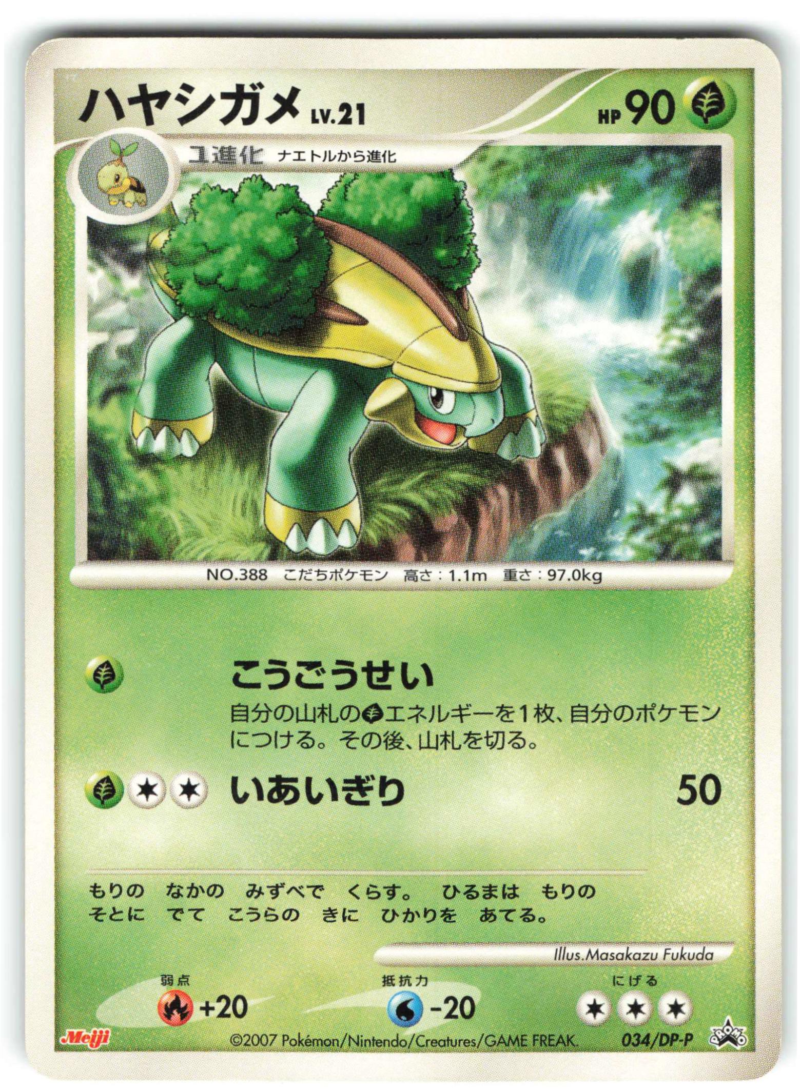 Pokemon DPプロモ 034/DP-P ハヤシガメ | まんだらけ Mandarake