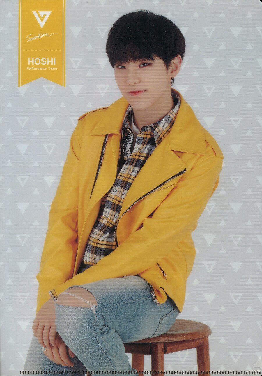 SEVENTEEN '17 JAPAN CONCERT Say the name #SEVENTEEN HOSHI クリアファイル | まんだらけ Mandarake