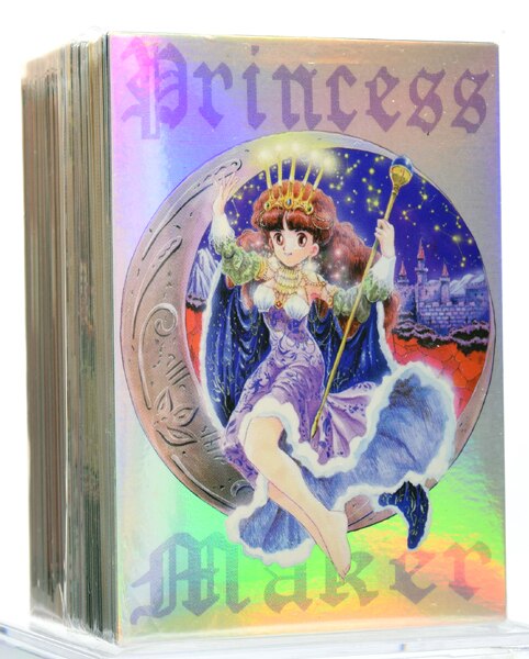 NINELIVES ゲームトレカ プリンセスメーカー2 全143種 セット | まんだらけ Mandarake