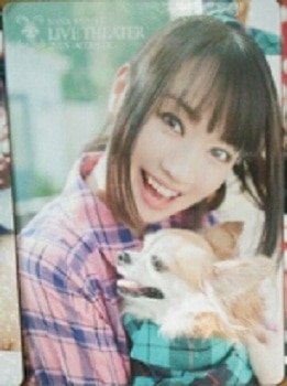 会場限定 NANACA LIVE THEATER チェック服(犬抱え) 2015 | MANDARAKE 在线商店