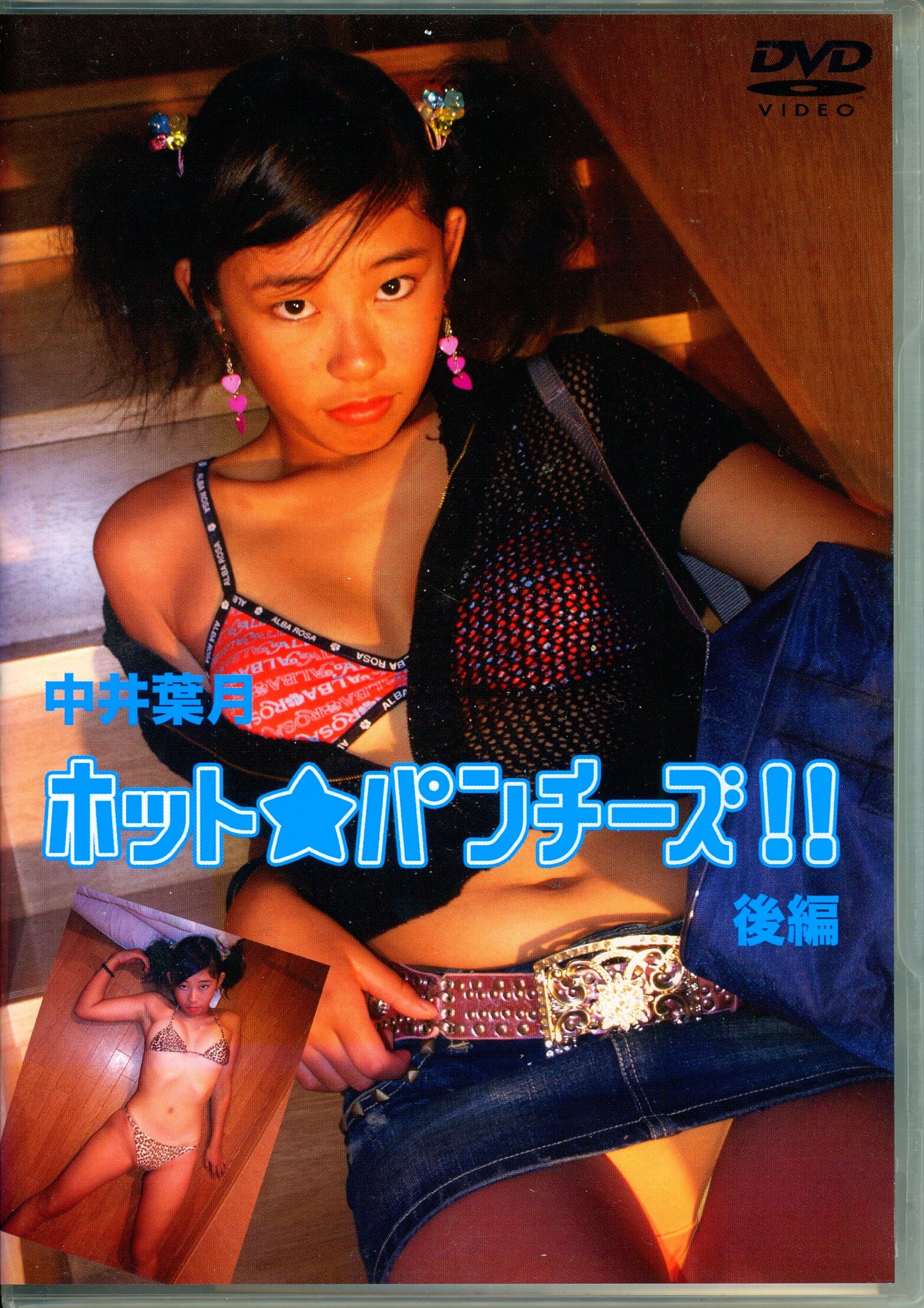 DREAM WORK DVD 中井葉月 ホット☆パンチーズ!! 後編 | まんだらけ Mandarake