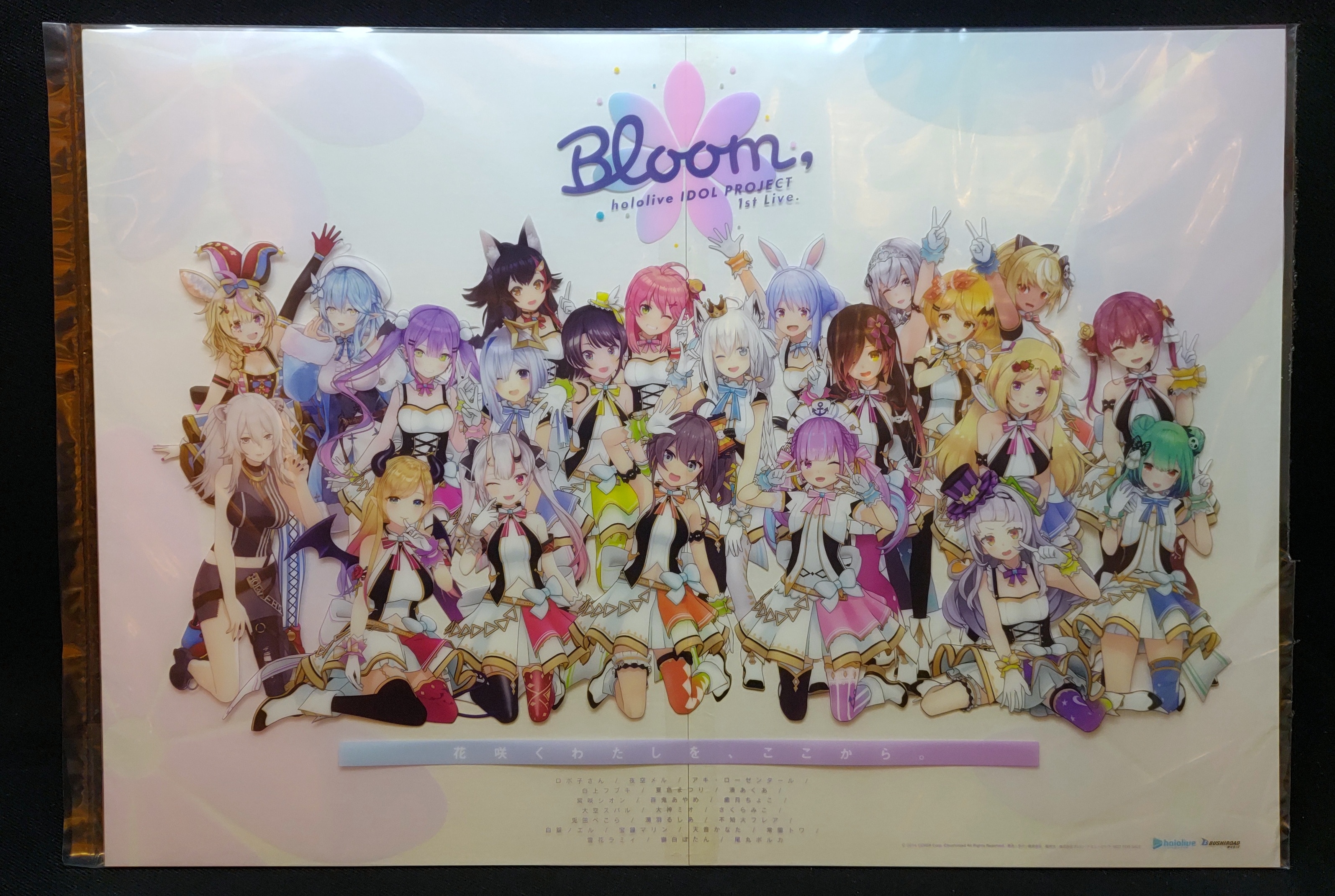 Nyaa.si Hololive Bloom