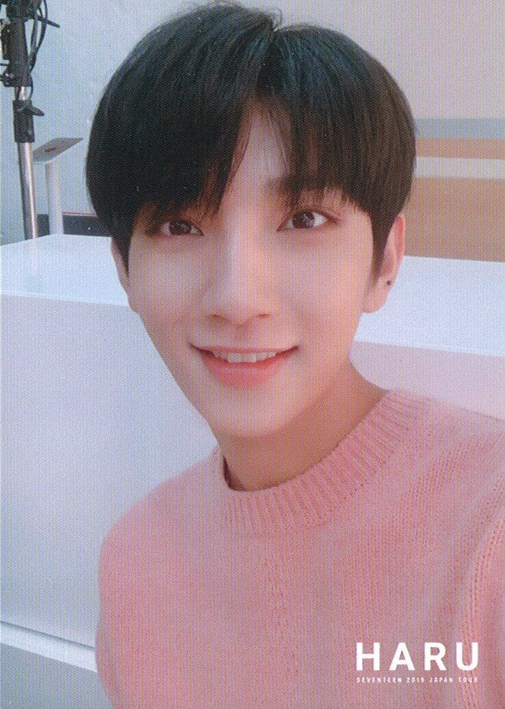 SEVENTEEN JOSHUA 2019 HARU 37 | まんだらけ Mandarake