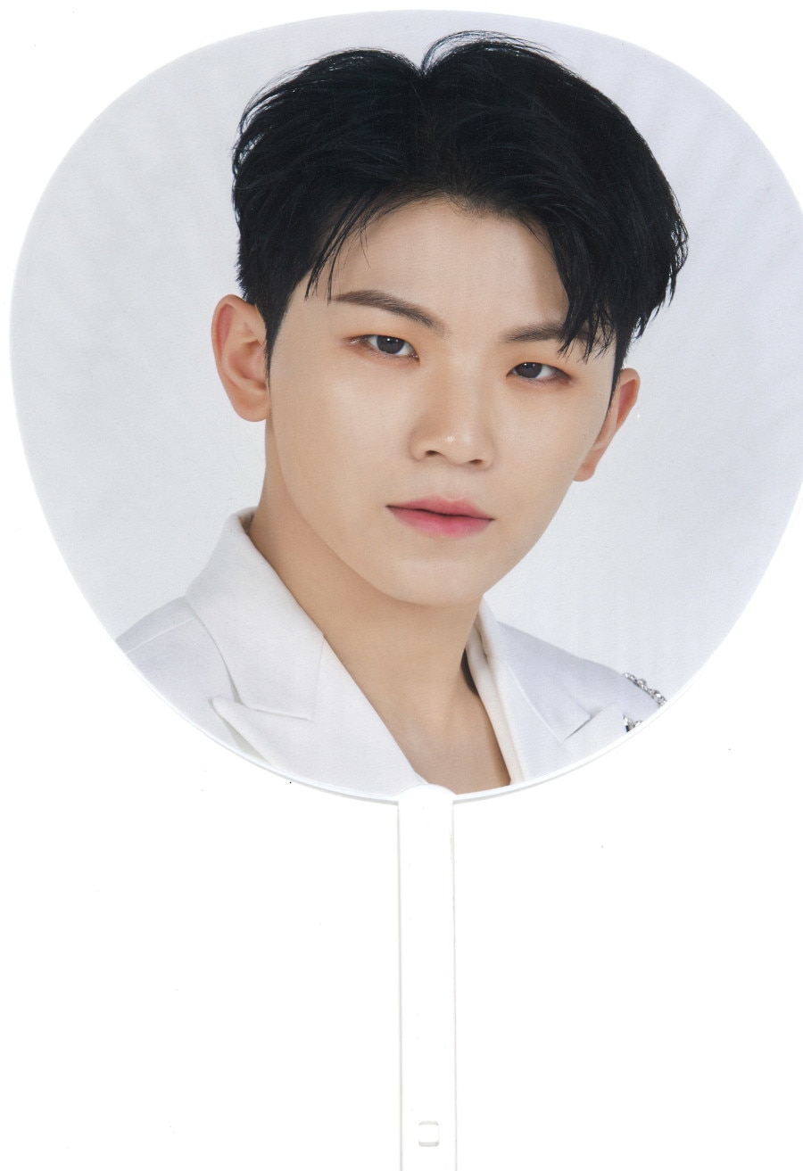 SEVENTEEN 2020 SVT WOOZI うちわ A | まんだらけ Mandarake