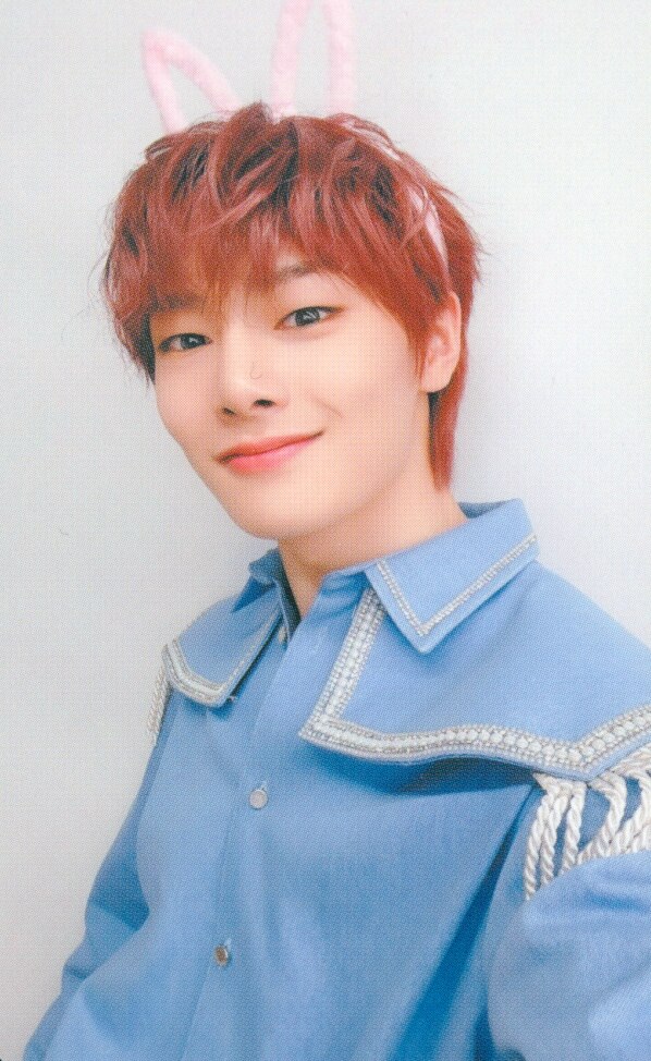 StrayKids 会場限定 I.N THE SOUND 2/11 | まんだらけ Mandarake
