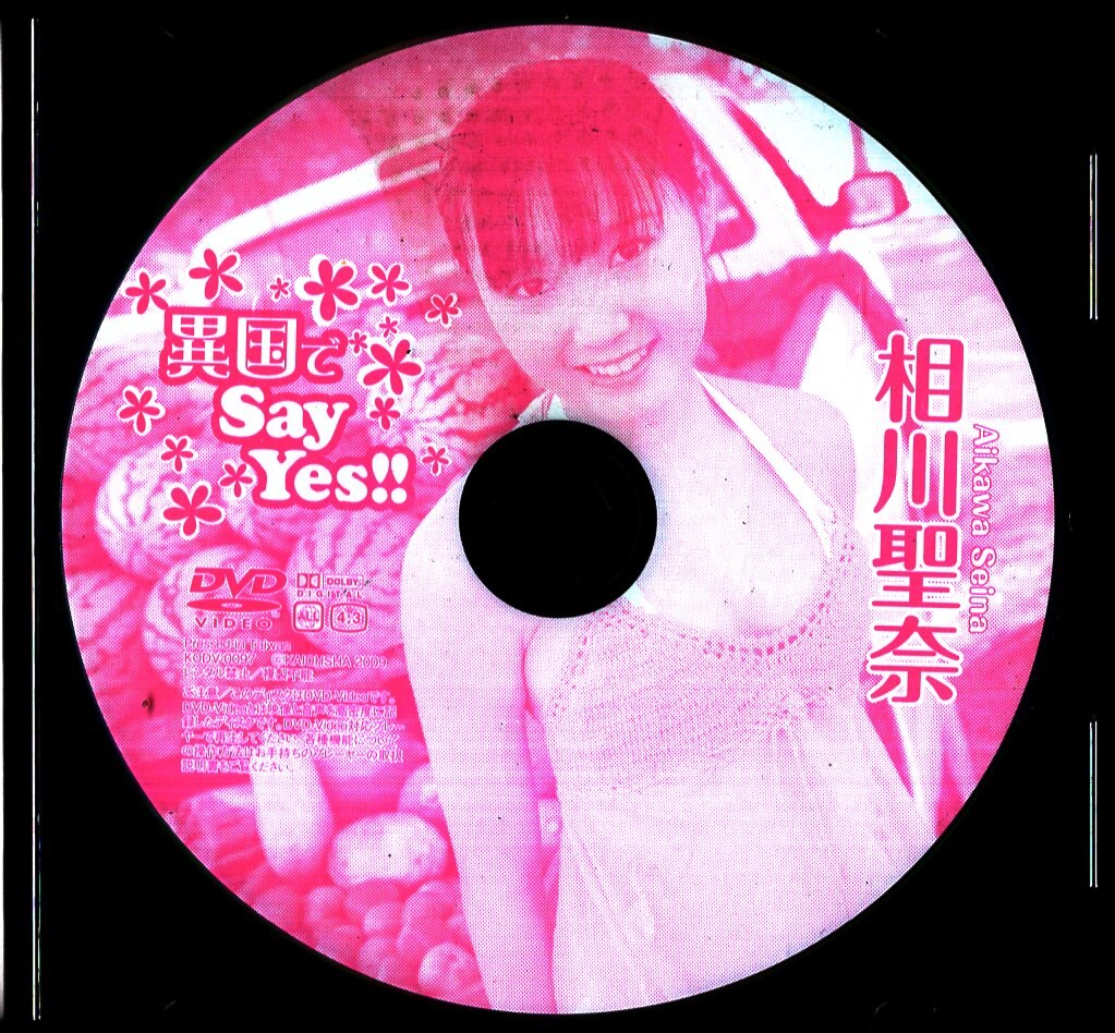 海王社 DVD 相川聖奈 異国でSay Yes!! | まんだらけ Mandarake