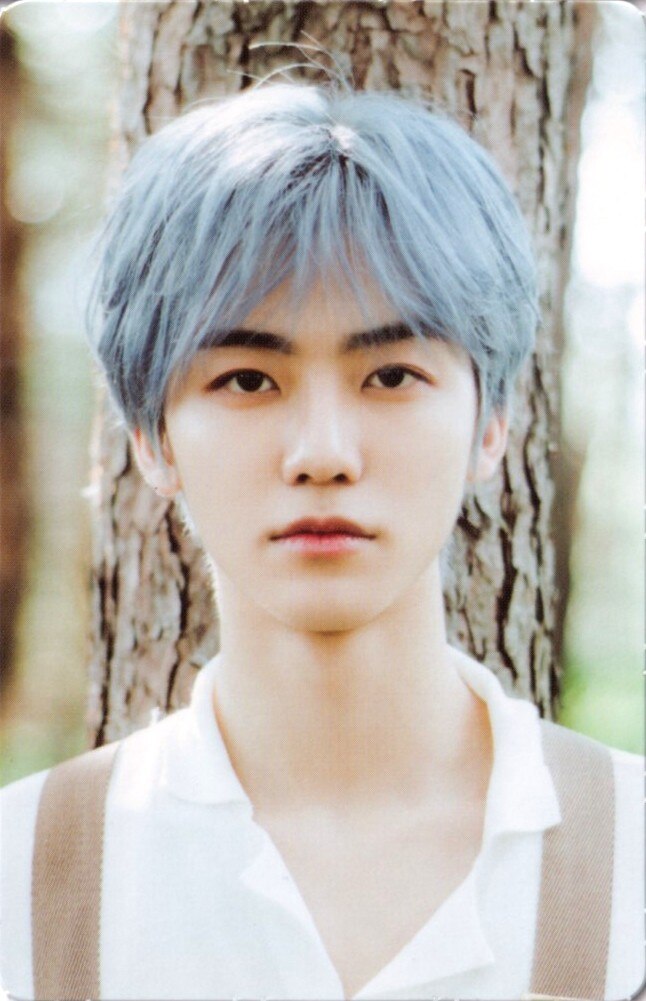 NCT DREAM ver.1 JAEMIN DREAM A DREAM | まんだらけ Mandarake