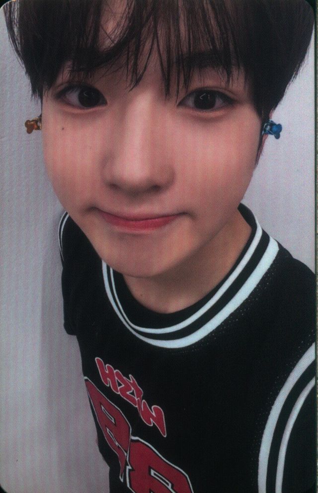 NCT WISH QR ver. SAKUYA Steady | まんだらけ Mandarake