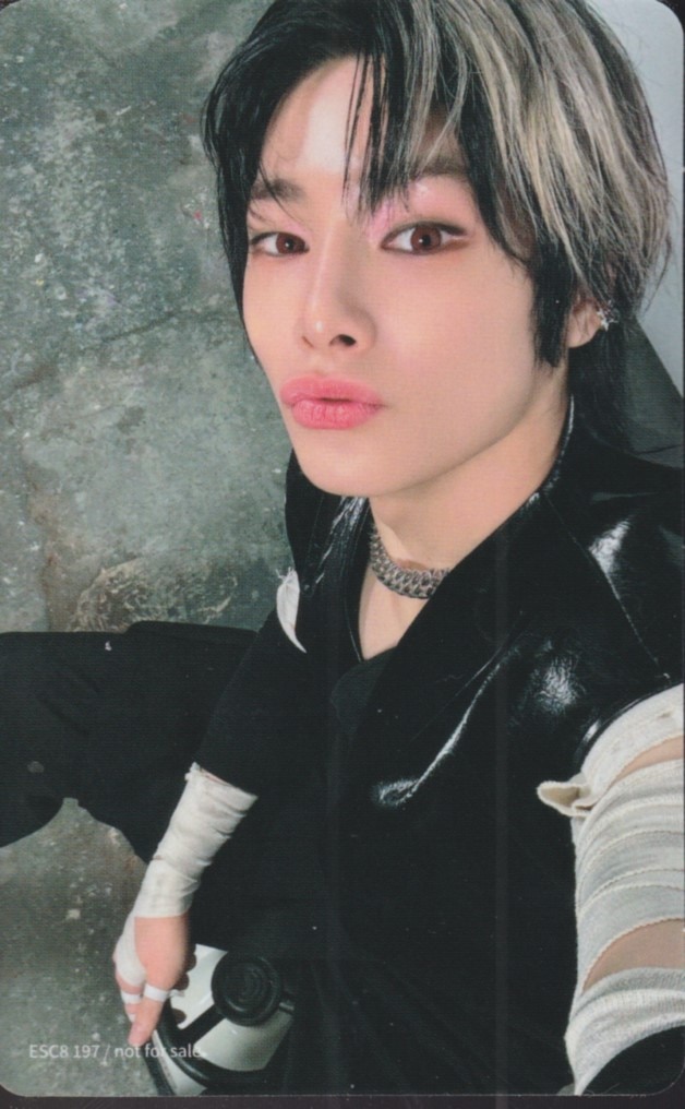 StrayKids FC限定 I.N GIANT 両面 | まんだらけ Mandarake