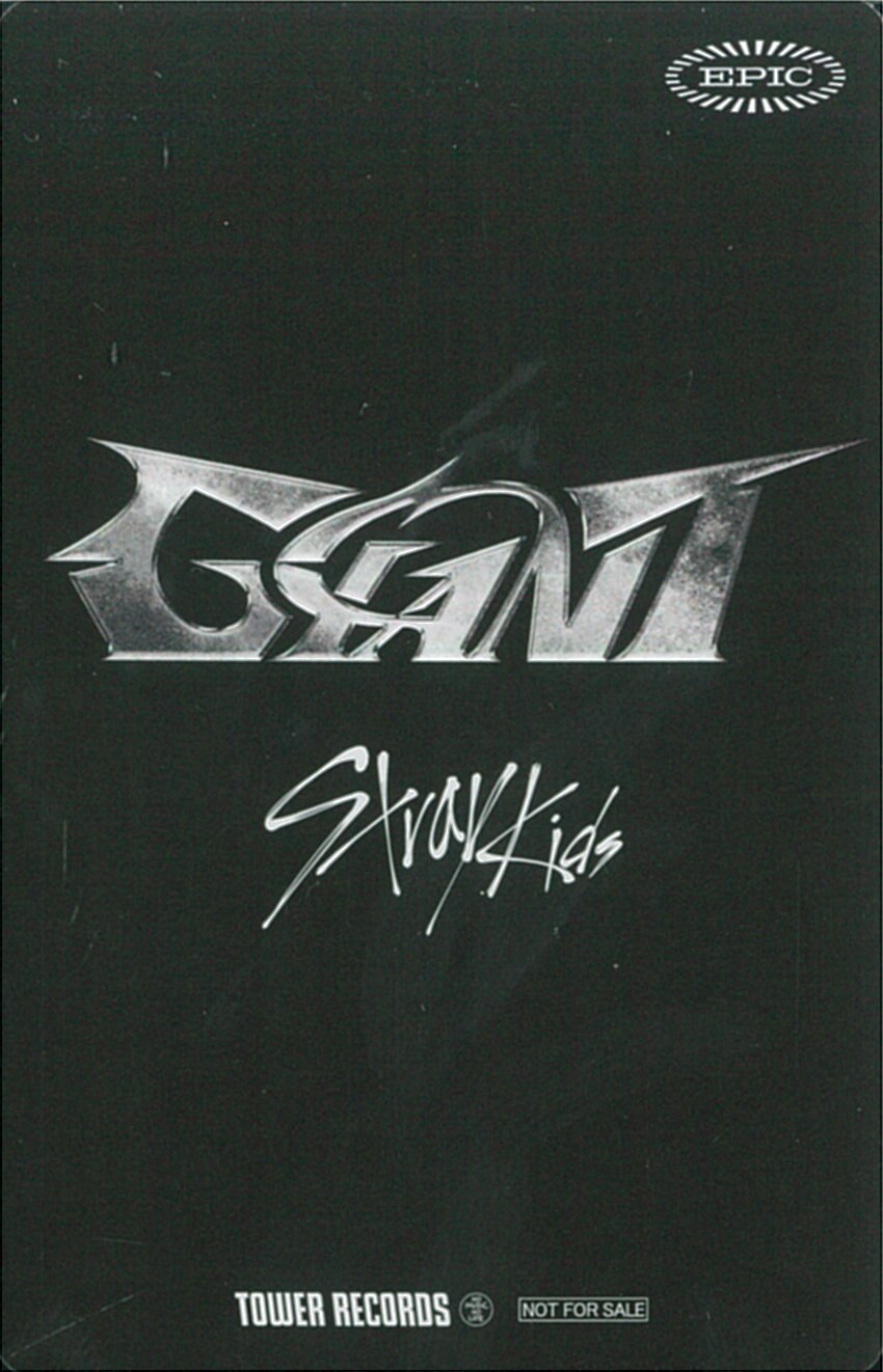 Stray Kids TOWER RECORDS Han GIANT | まんだらけ Mandarake