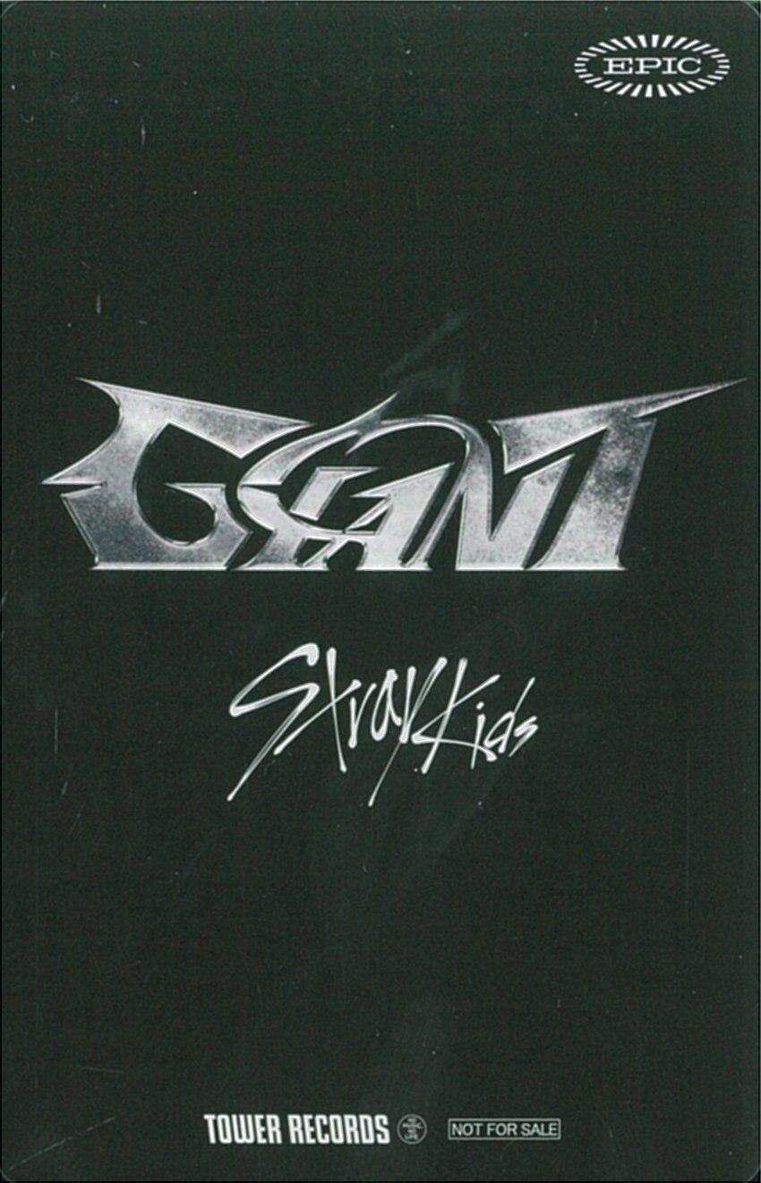 Stray Kids TOWER RECORDS FELIX GIANT | まんだらけ Mandarake