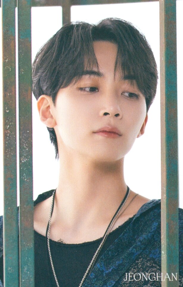 SEVENTEEN HMV JEONGHAN FACE THE SUN | まんだらけ Mandarake