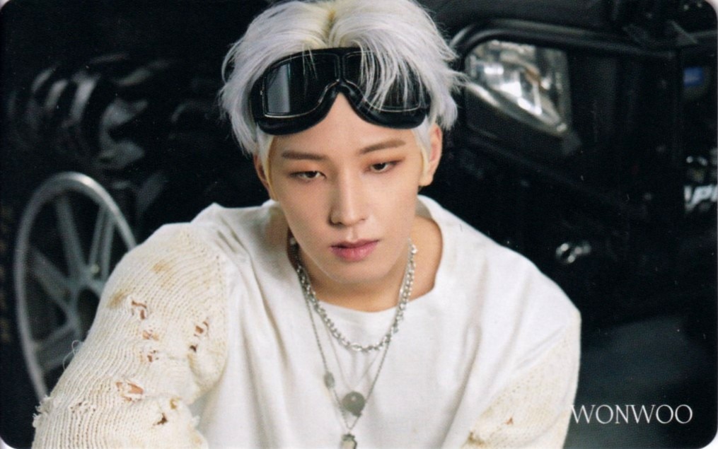 SEVENTEEN HMV WONWOO FACE THE SUN CARAT | まんだらけ Mandarake