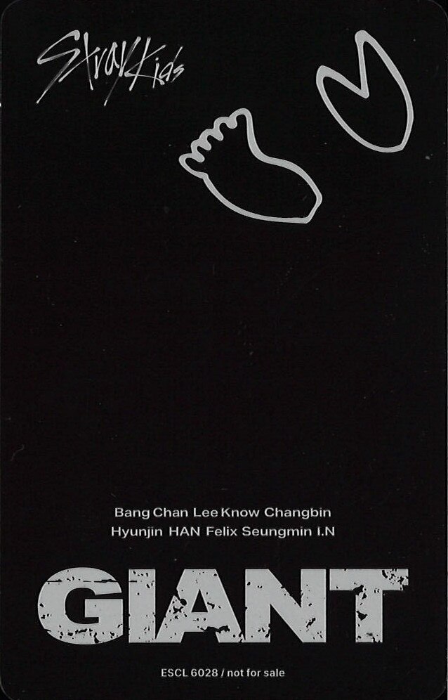 StrayKids 通常盤 Changbin GIANT | まんだらけ Mandarake