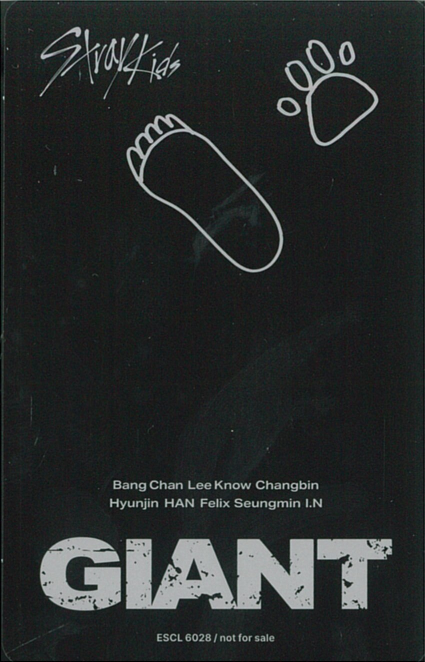 StrayKids 通常盤 LeeKnow GIANT | まんだらけ Mandarake