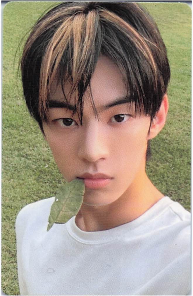 TWS NOW Ver. DOHOON SUMMER BEAT!OUR MEMORIES:NOW | まんだらけ Mandarake