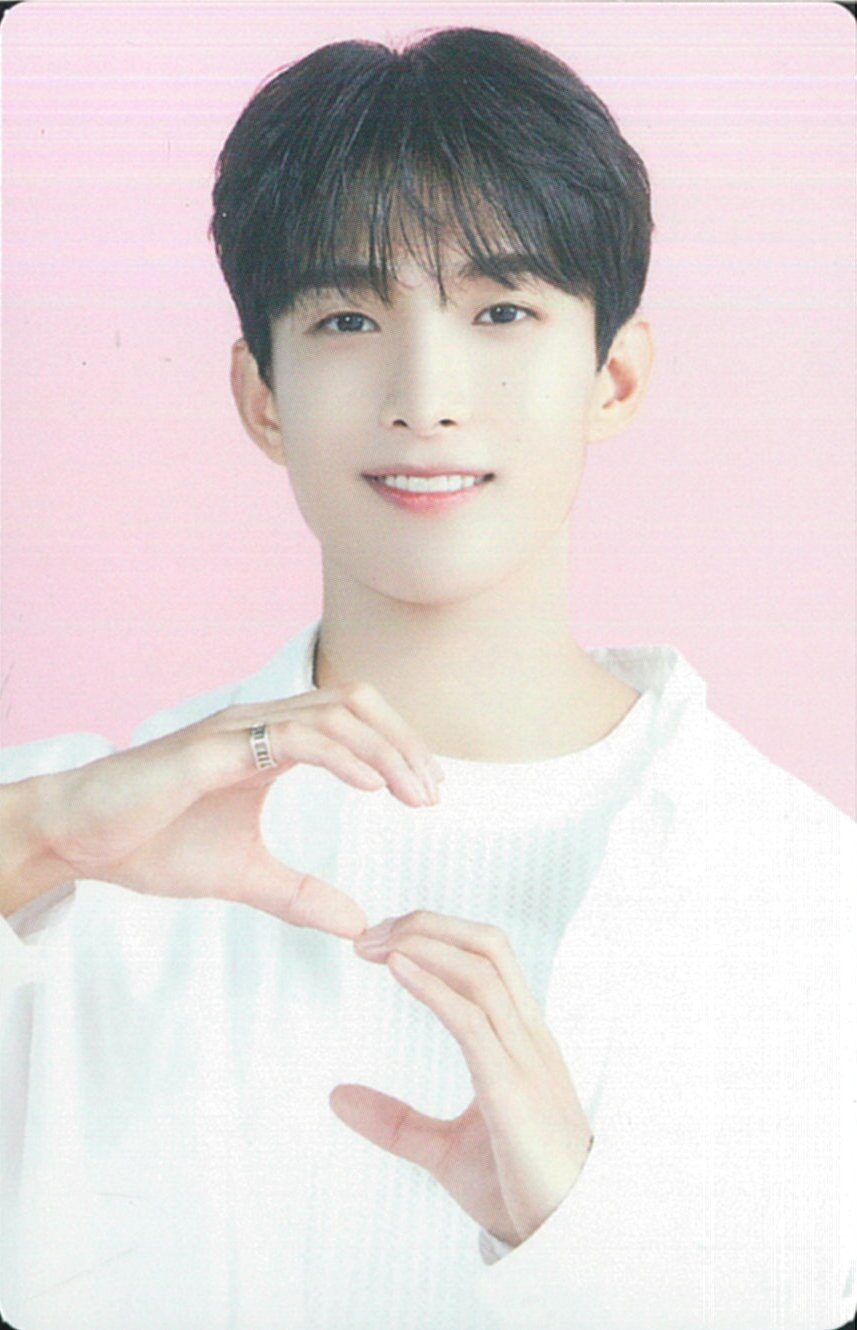 SEVENTEEN DK CAFE in SEOUL 48 | まんだらけ Mandarake