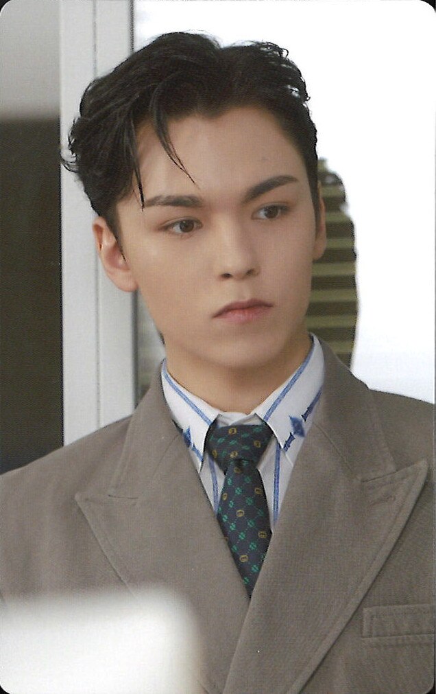 SEVENTEEN Weverse Global VERNON FML WSGL | まんだらけ Mandarake