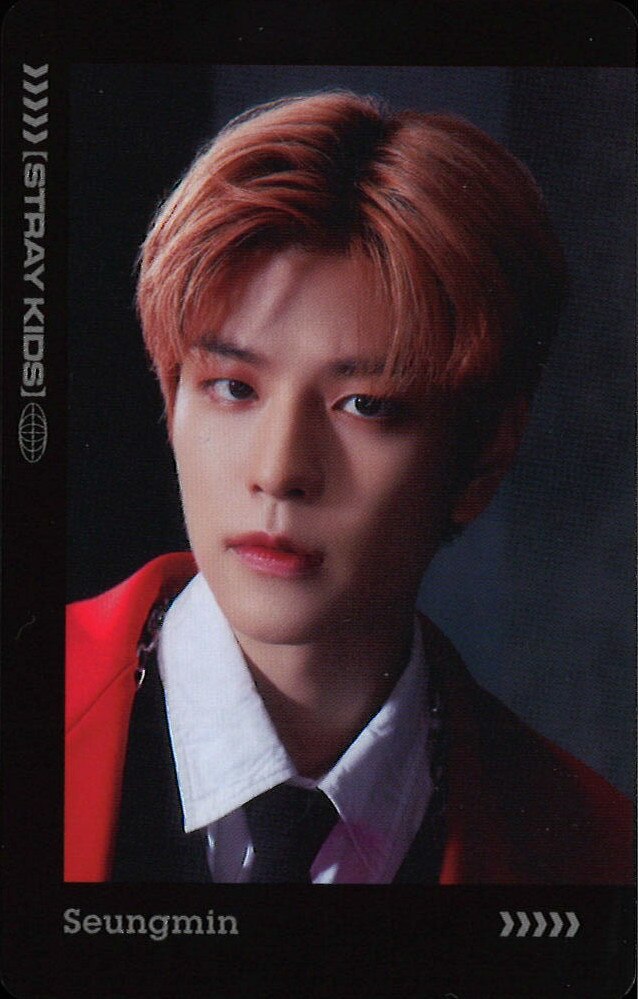 StrayKids Seungmin JAPAN 1stEPリリース記念グッズ B | まんだらけ Mandarake