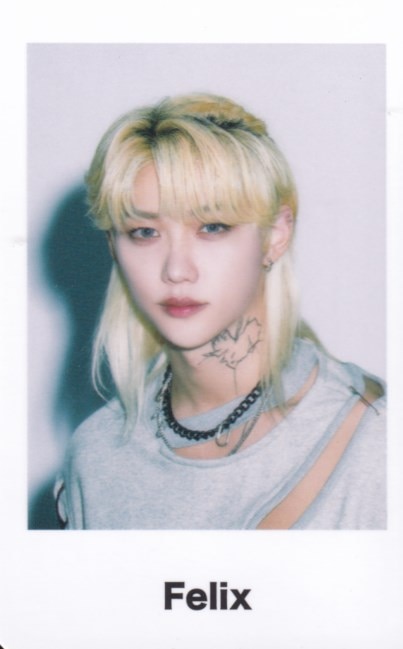 StrayKids FELIX SCARS OFFICIAL GOODS ポラ風 | まんだらけ Mandarake